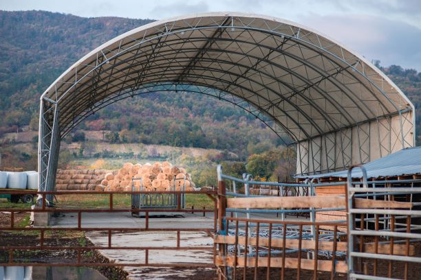 Mezeluri Angus. Ferma noastră